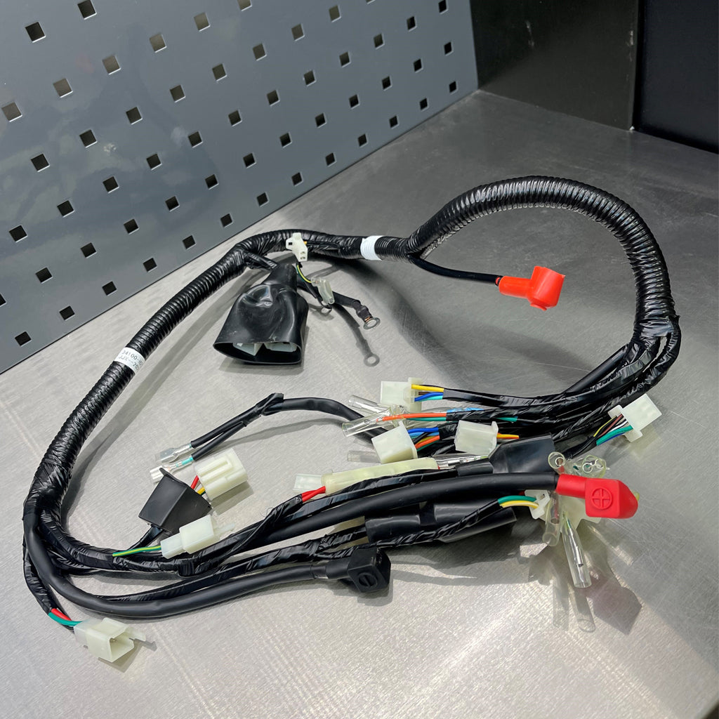 CUB Body Parts – Madmunkuk